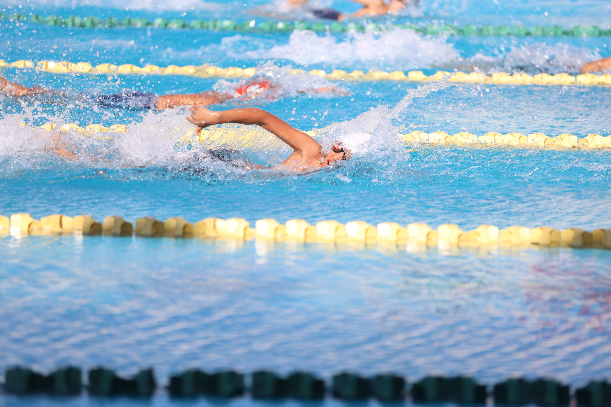 csa jo – Champions Swimming Academy